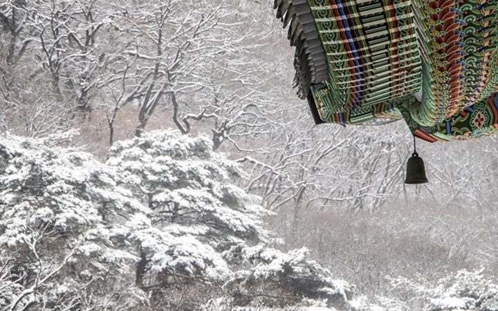 Rakso Travel - KOREA ICECAPADE