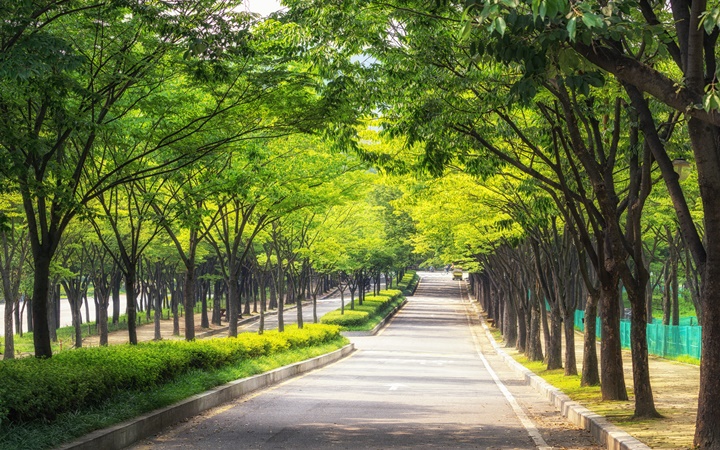 Rakso Travel - SUMMER FUN IN KOREA