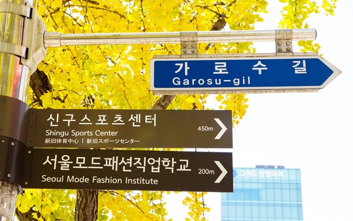 Rakso Travel - FALL IN LOVE WITH KOREA