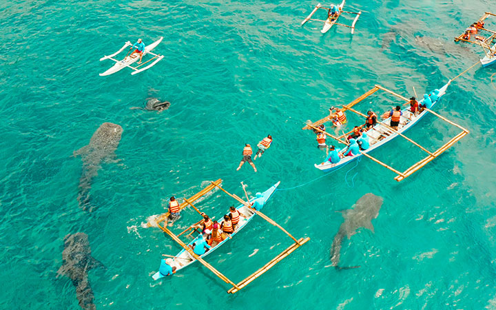 Rakso Travel - CEBU TWIN MARVELS & WHALE SHARK DISCOVERY